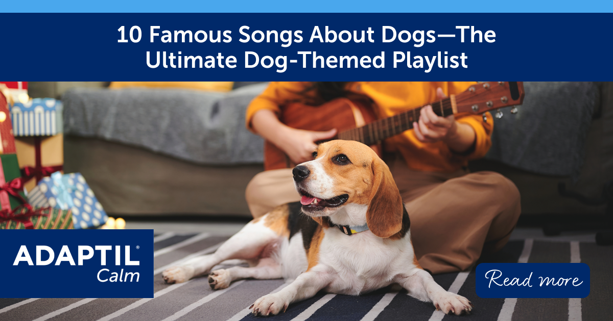 10 Famous Songs About Dogs—The Ultimate Dog-Themed Playlist